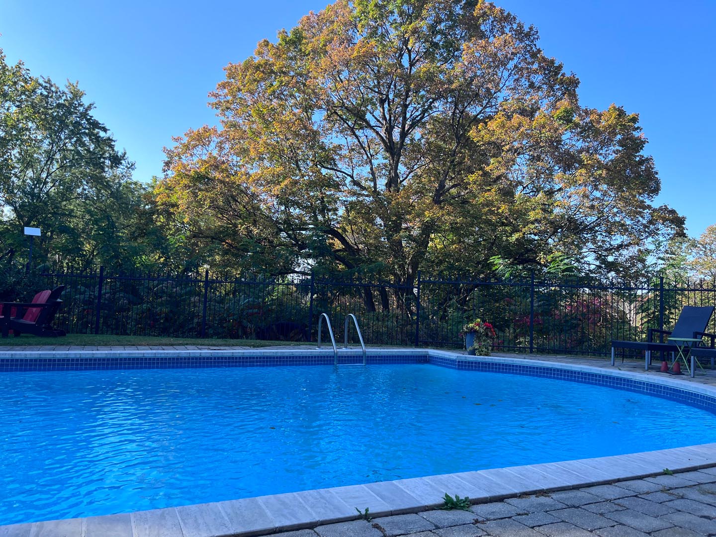 Welcome to Caledon Manor