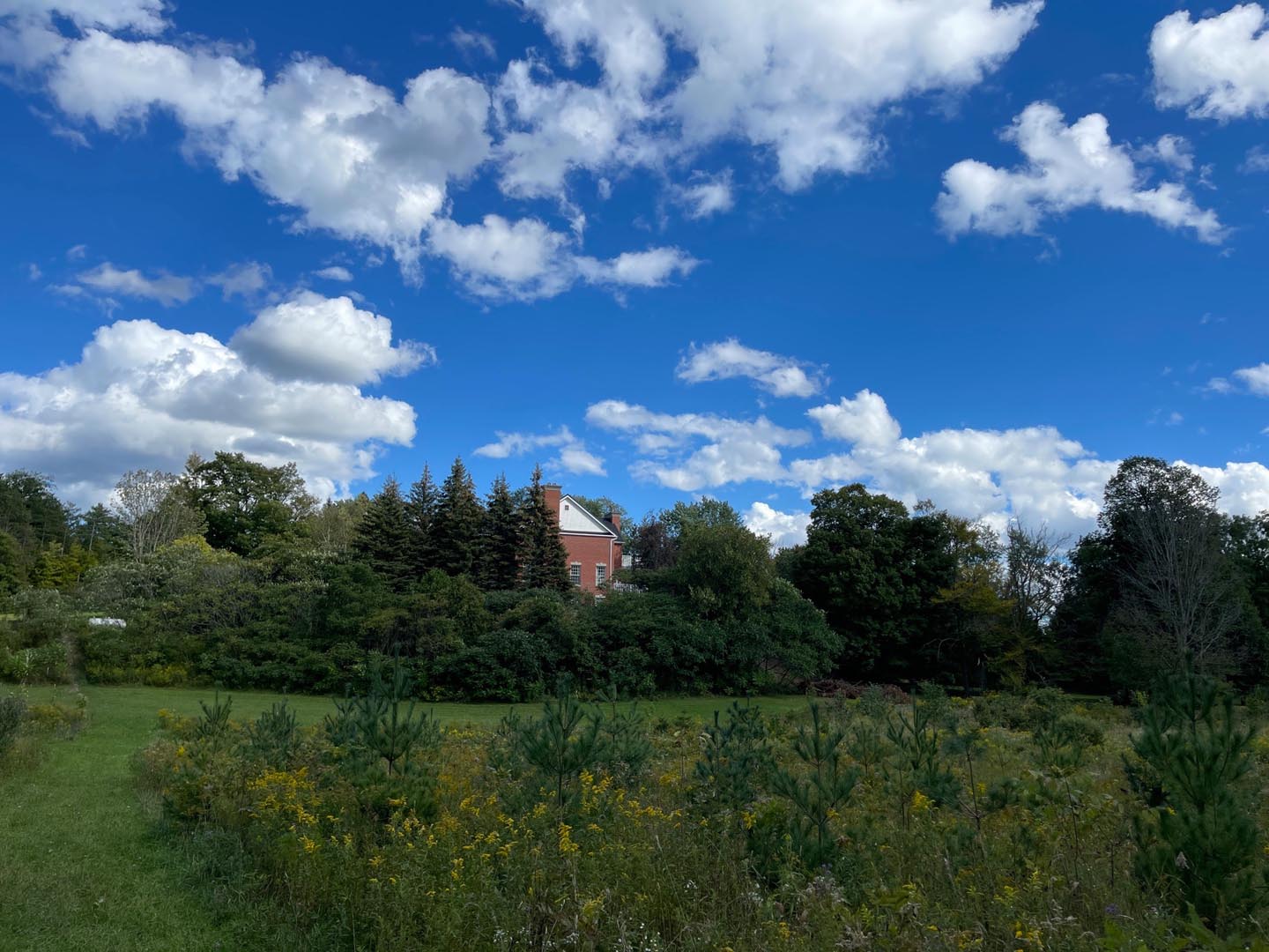 Welcome to Caledon Manor