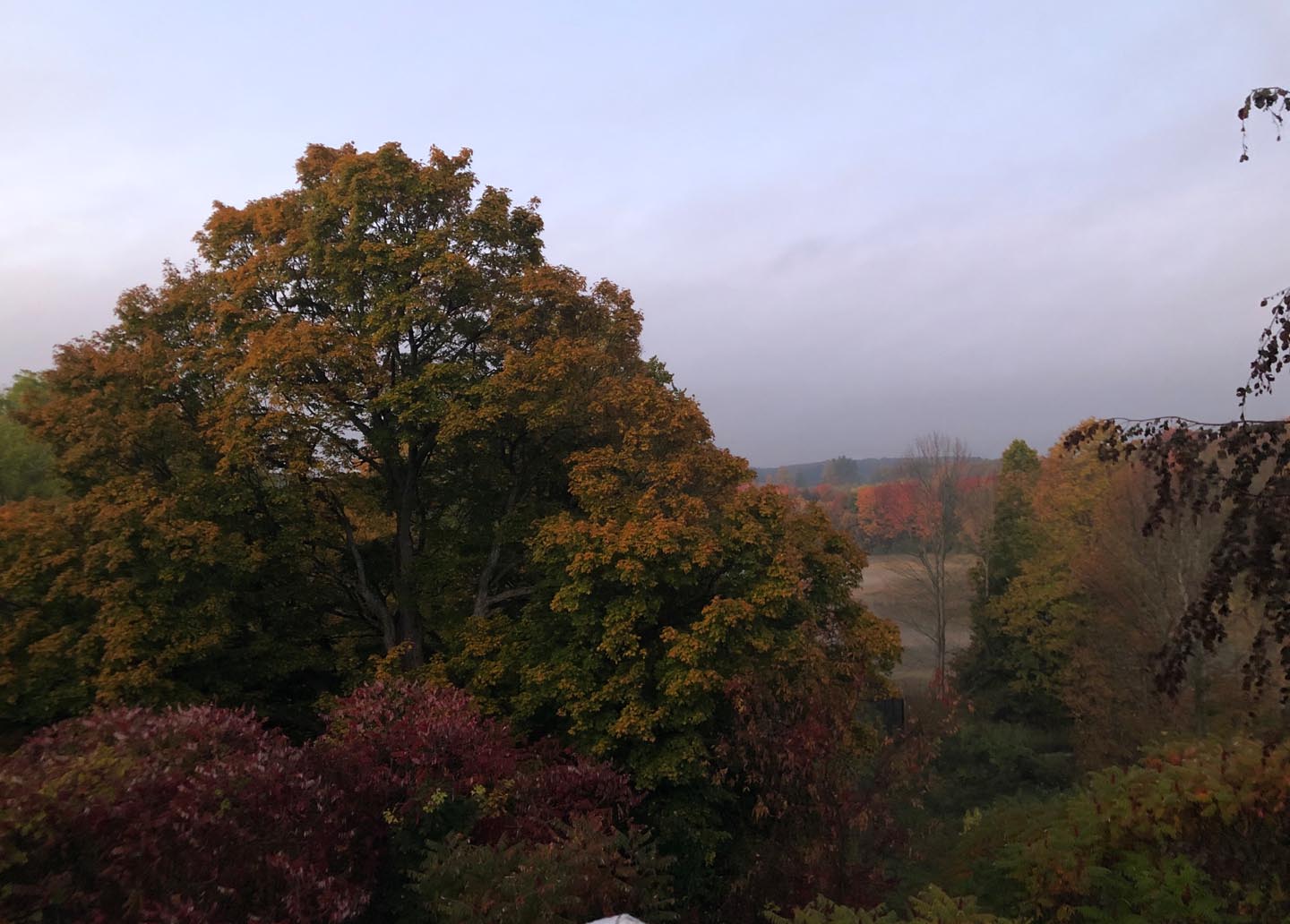 Welcome to Caledon Manor